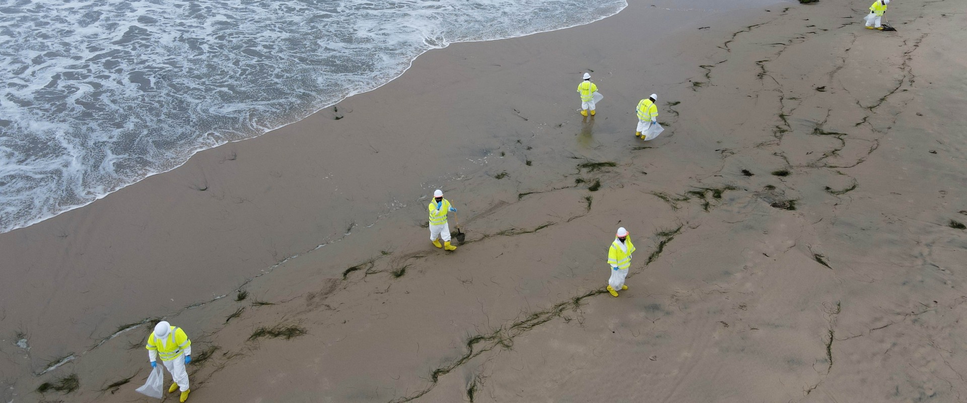 The Vital Role of Coast Guards in Protecting the Environment in Los ...
